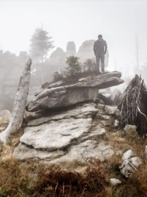 Entity Selection and Restructuring – CDA CPA's